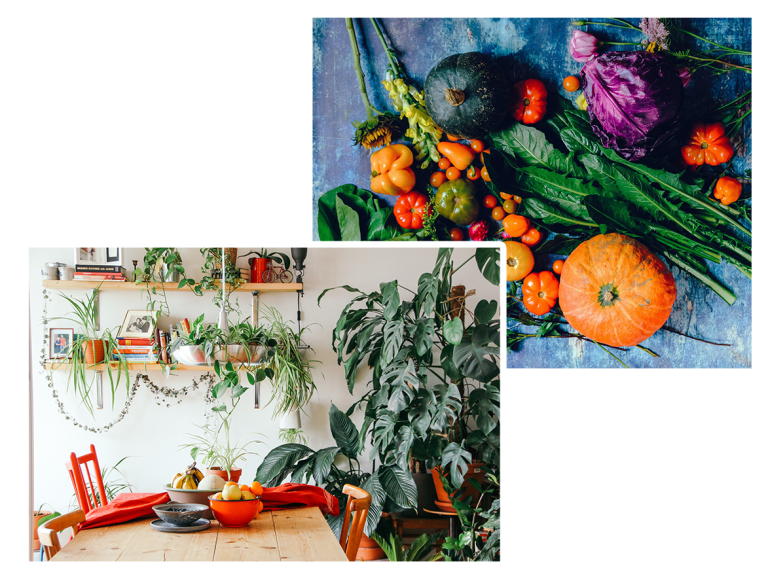 First Choice Produce